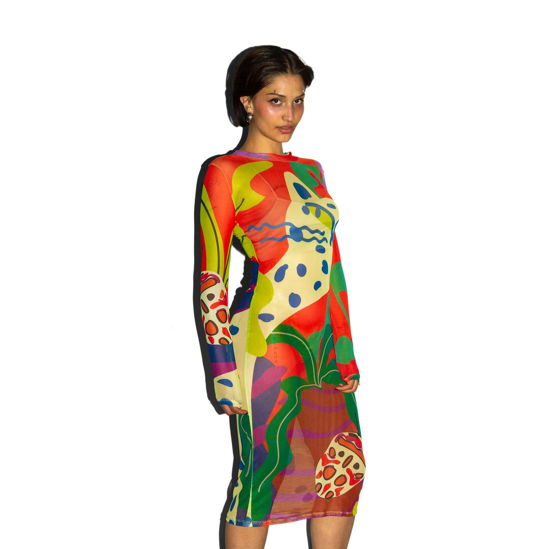 Nugget – nugget land