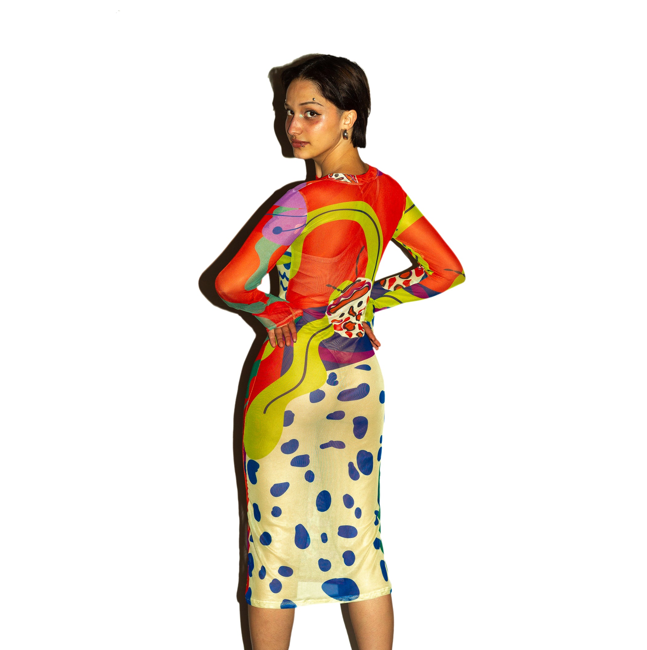 Nugget – nugget land